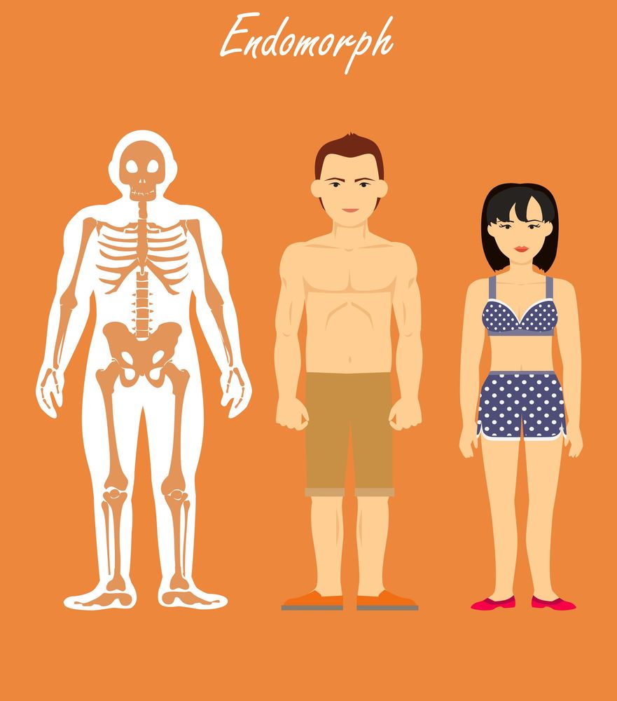 Endomorph, Mesomorph and Ectomorph: How to Find Your Body Type | DEXA ...