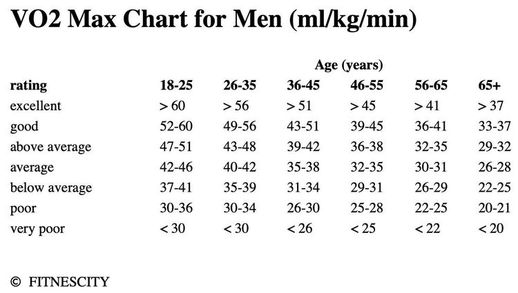 VO2 Max - Cardiorespiratory Fitness | DEXA Scan Near Me