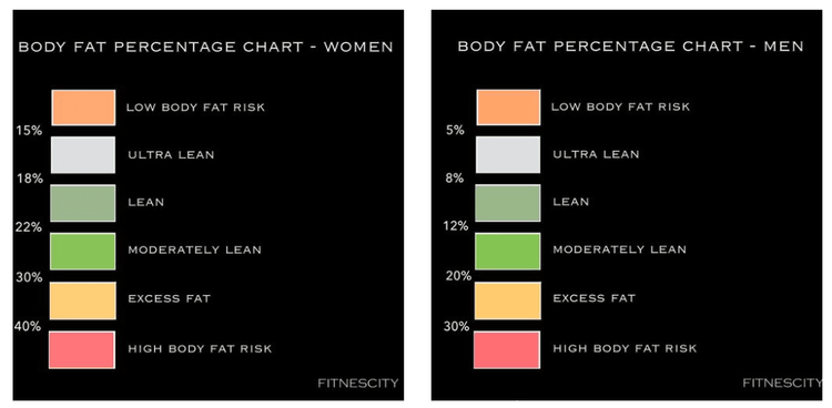 How To Achieve 15% Body Fat For Men | DEXA Scan Near Me. VO2 Max Near ...
