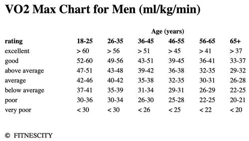 VO2 Max - Cardiorespiratory Fitness | DEXA Scan Near Me